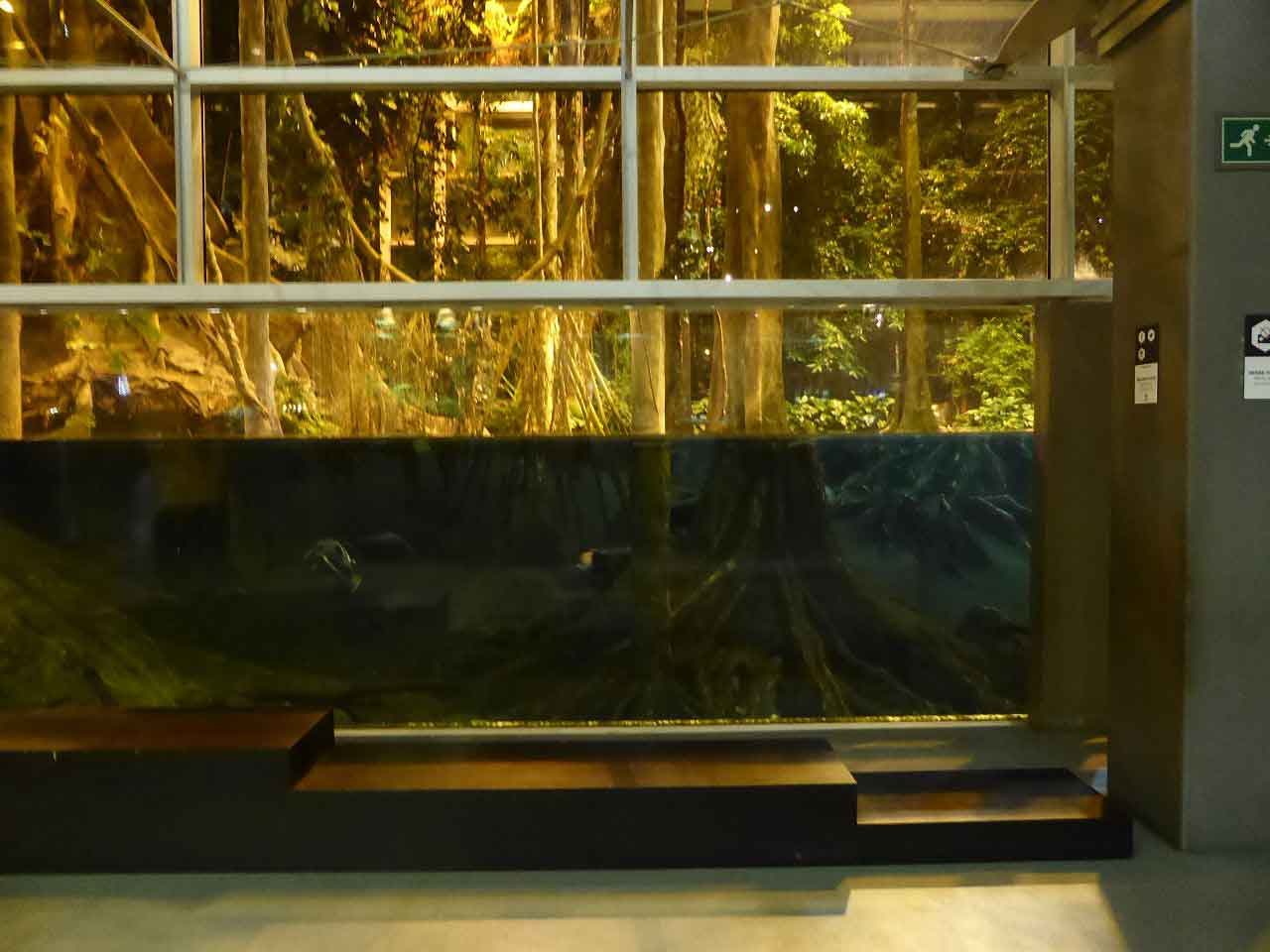 CosmoCaixa: Besichtigung, Eintritt, Öffnungszeiten und Infos